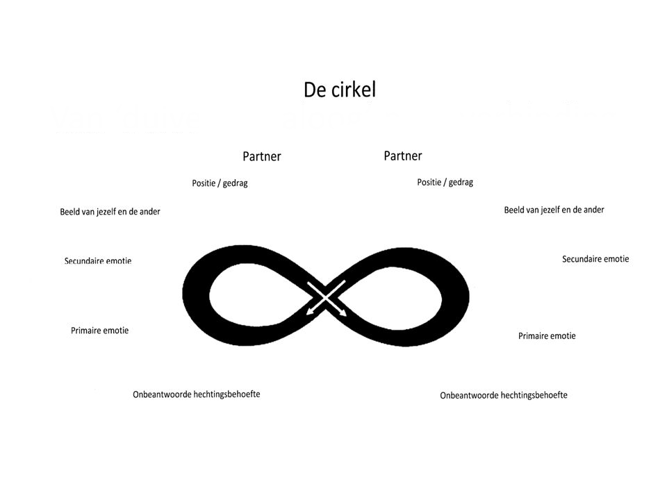 Emotionally Focused Therapy – BEGINNERSWERK